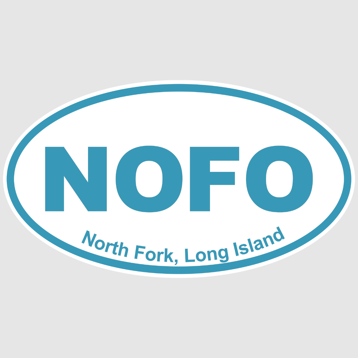 NOFO Car Decal Bumper Sticker - White / Aqua – NOFO Gear